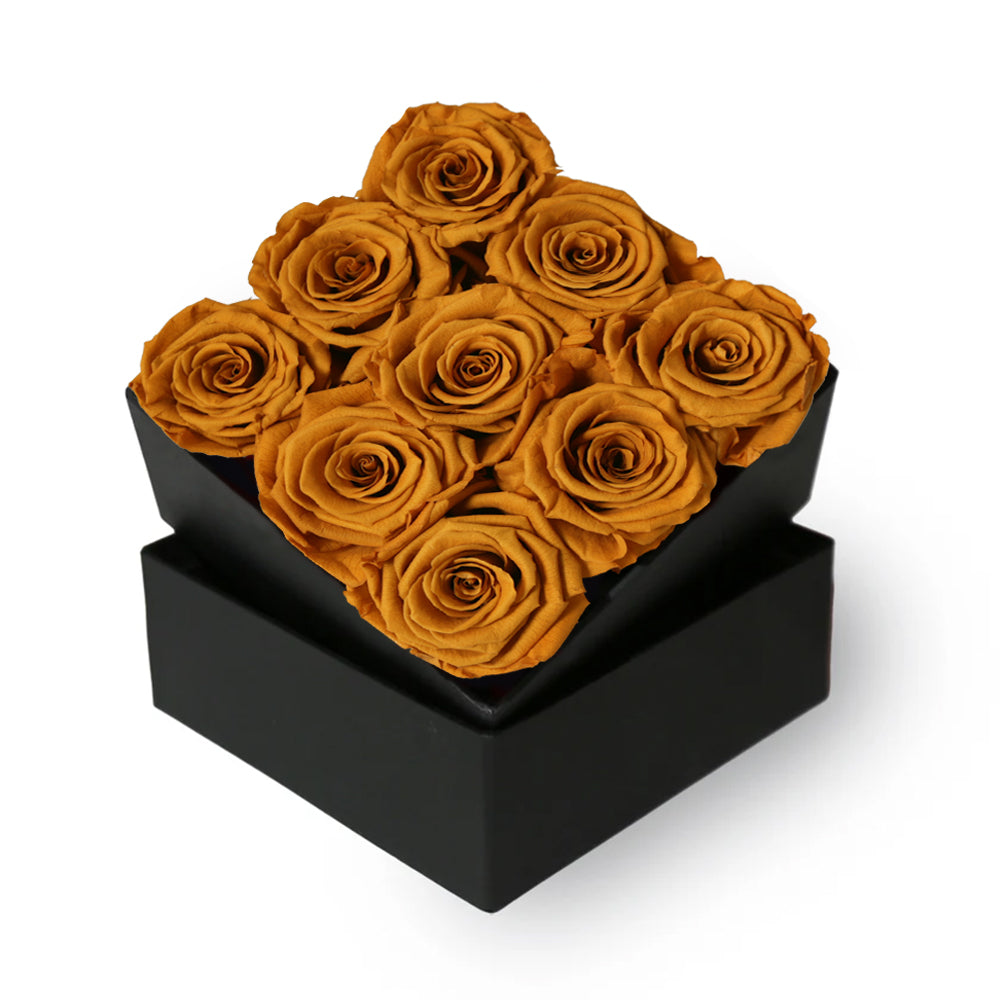 Amber – Ecuaplanet Roses