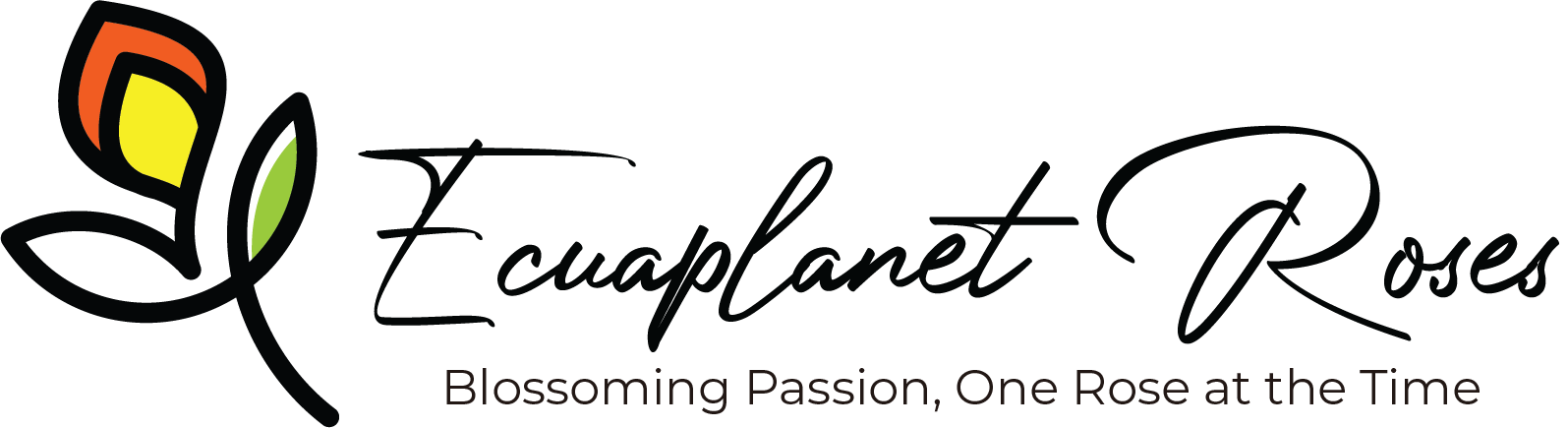 Fresh Rose Catalog – Ecuaplanet Roses