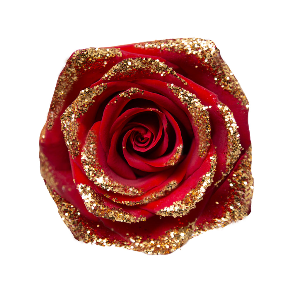 Golden Ruby – Ecuaplanet Roses