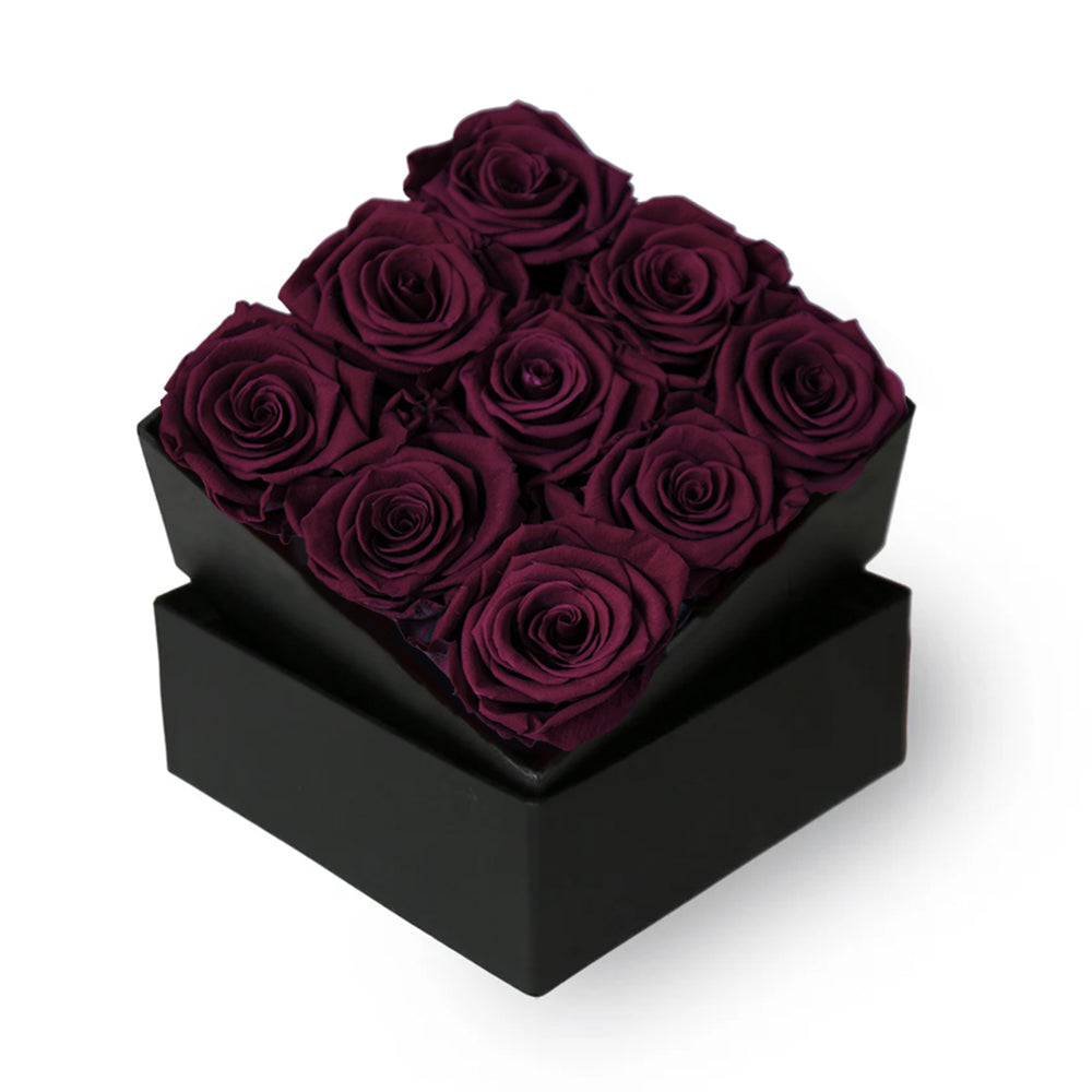 Merlot – Ecuaplanet Roses