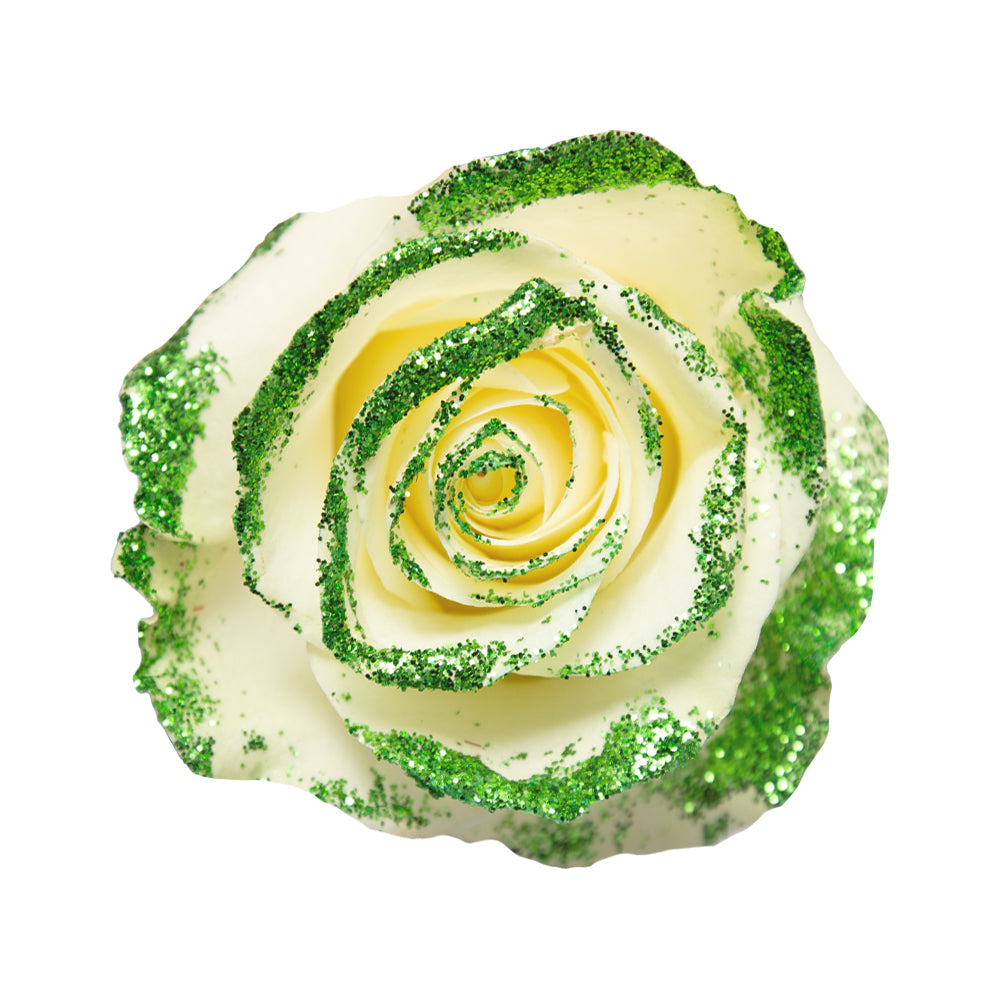 & Nice – Ecuaplanet Roses