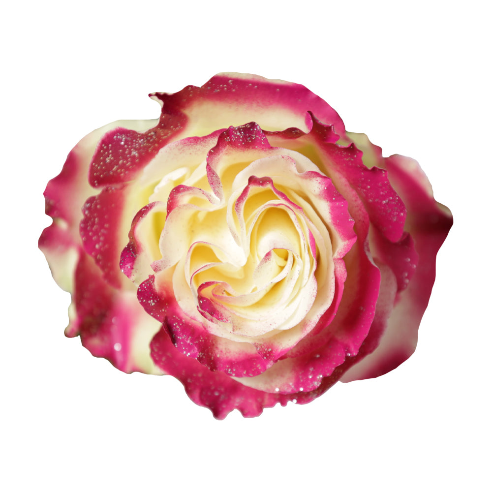 Starry Galaxy – Ecuaplanet Roses